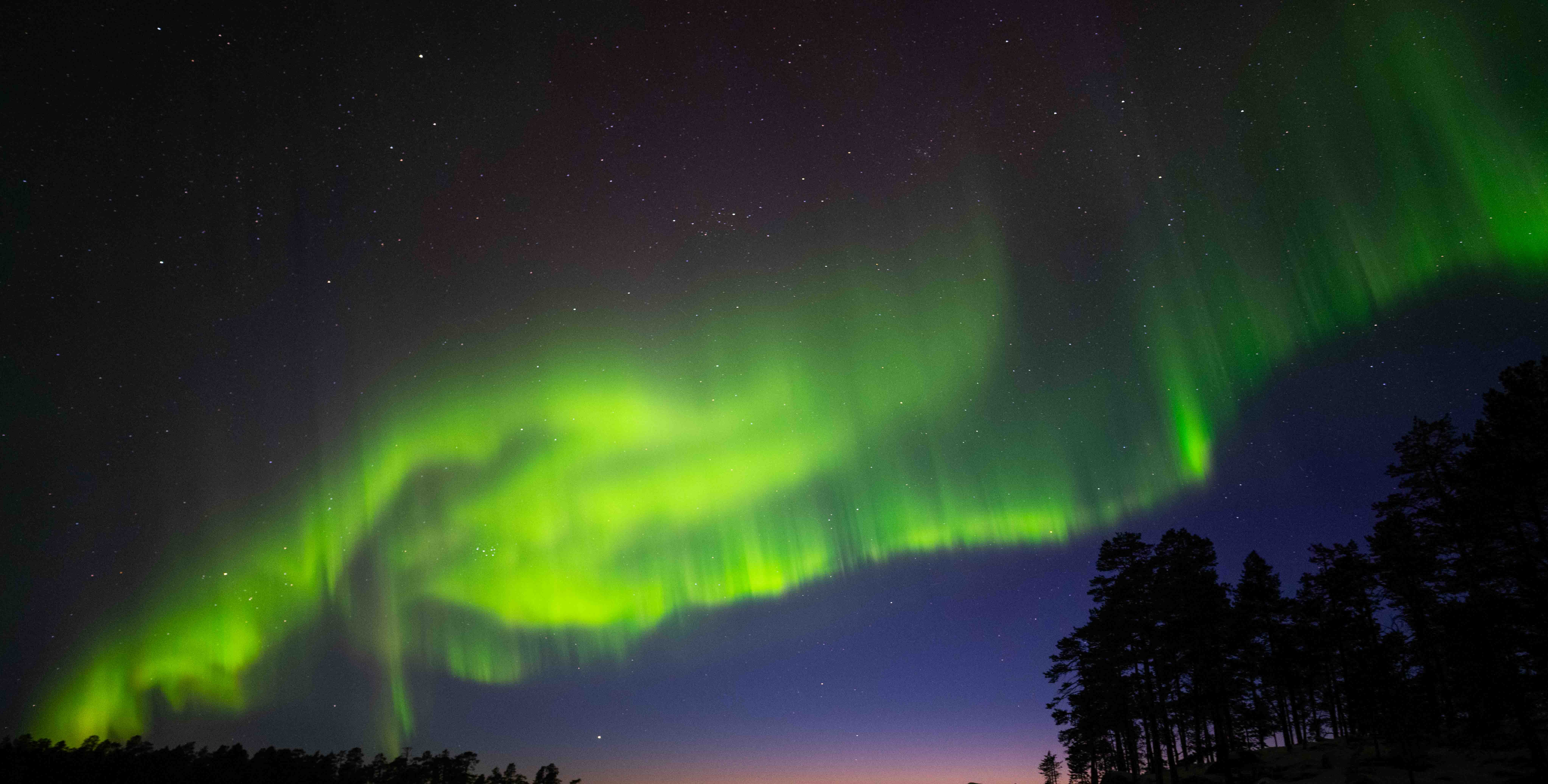 Wilderness Adventure by Snowmobile Sleigh - Ivalo Experiences